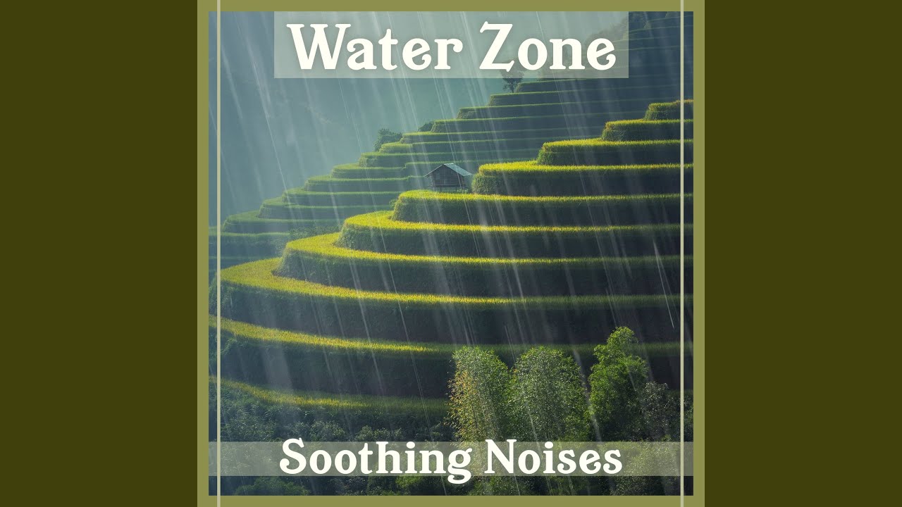 Motionless State, Tai Chi Exercise - YouTube