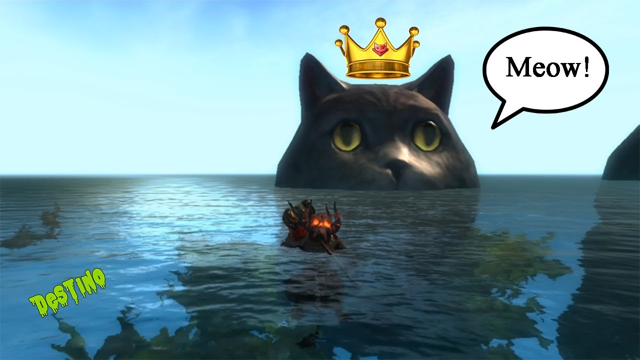 Guild Wars 2 - The King of All Cats 🐱 - YouTube