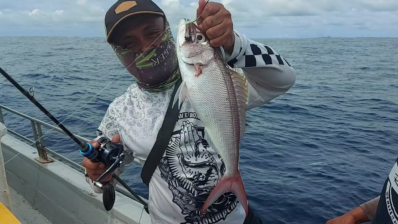 ANGOLI FISH ON LIGHT JIGGING - YouTube