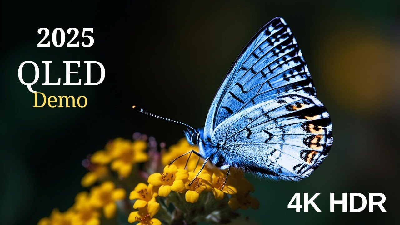 The Craziest Deep Color QLED Demo HDR Dolby Vision HD 4k video 60fps ...