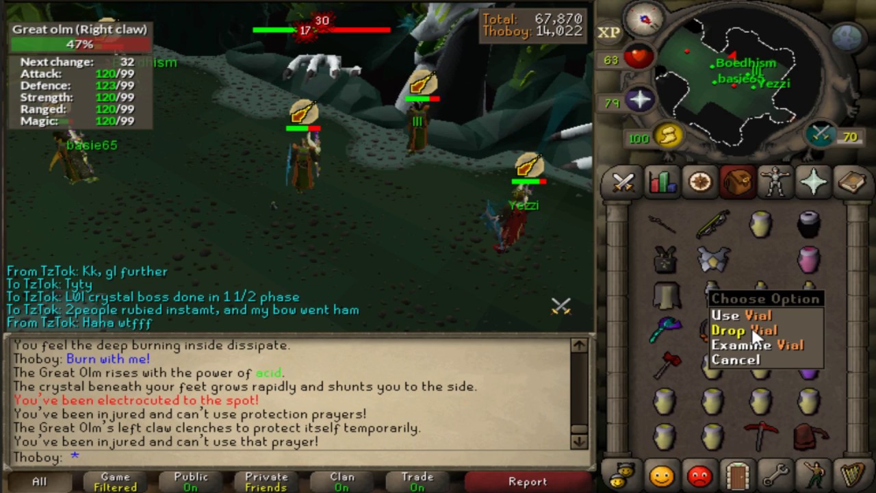 Near perfect Great Olm kill! Super fast raid! 31:52min! 5man team ...