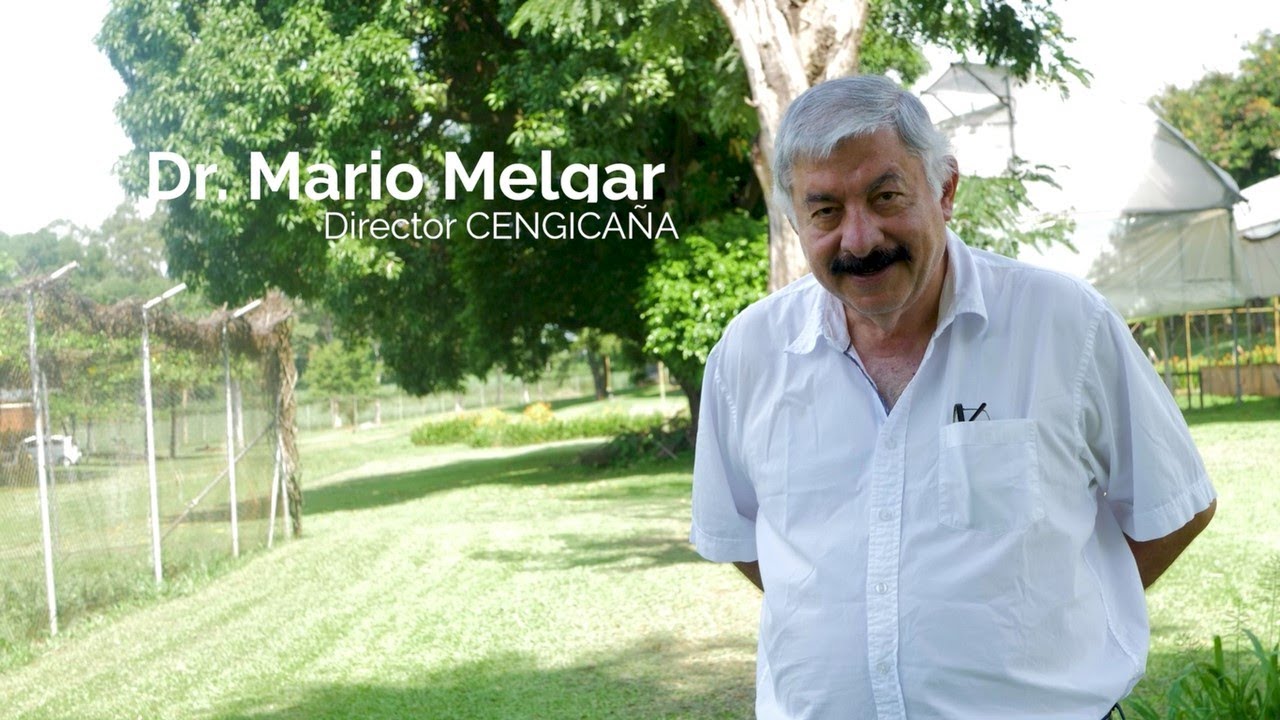 Dr. Mario Melgar y su exitosa trayectoria durante 29 años en CENGICAÑA ...