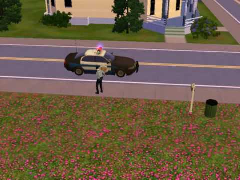 The sims 3 robber - YouTube