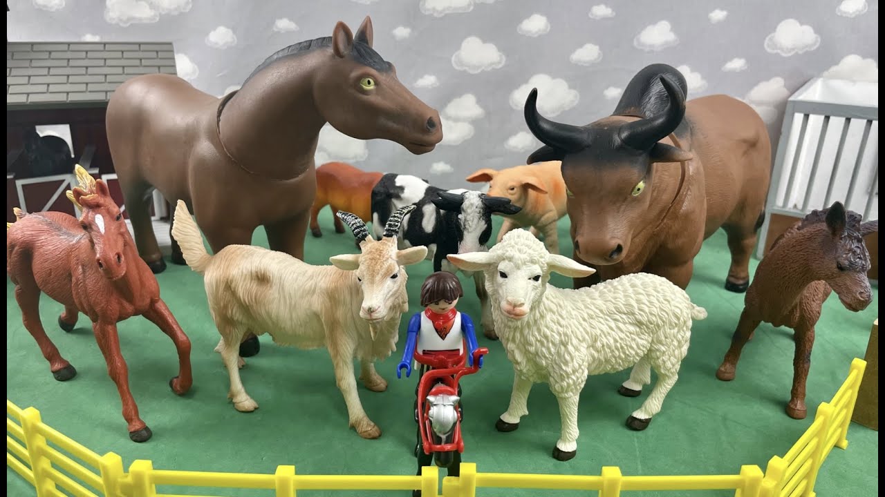 CARTS TAKING THE ANIMALS FROM THE PASTURE TO THE FARM / CARRETAS ...