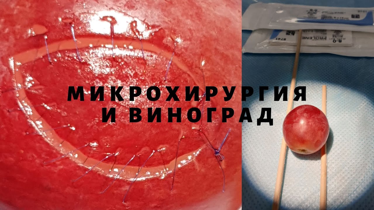 Grape microsurgery, surgery on a grape - YouTube