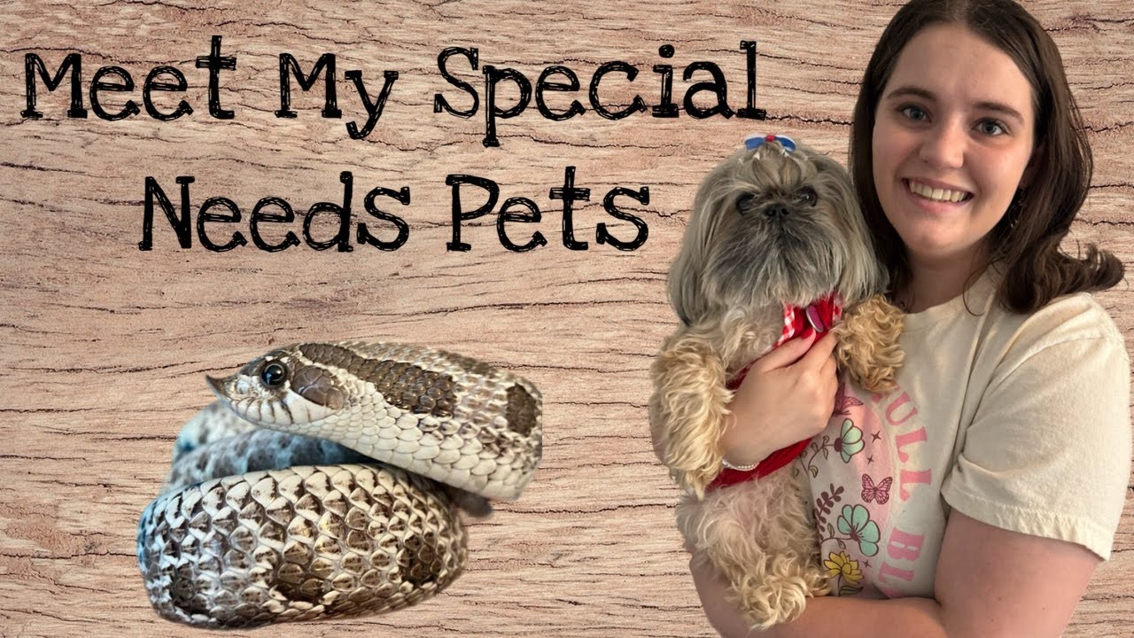 Meet My Special Needs Pets - YouTube