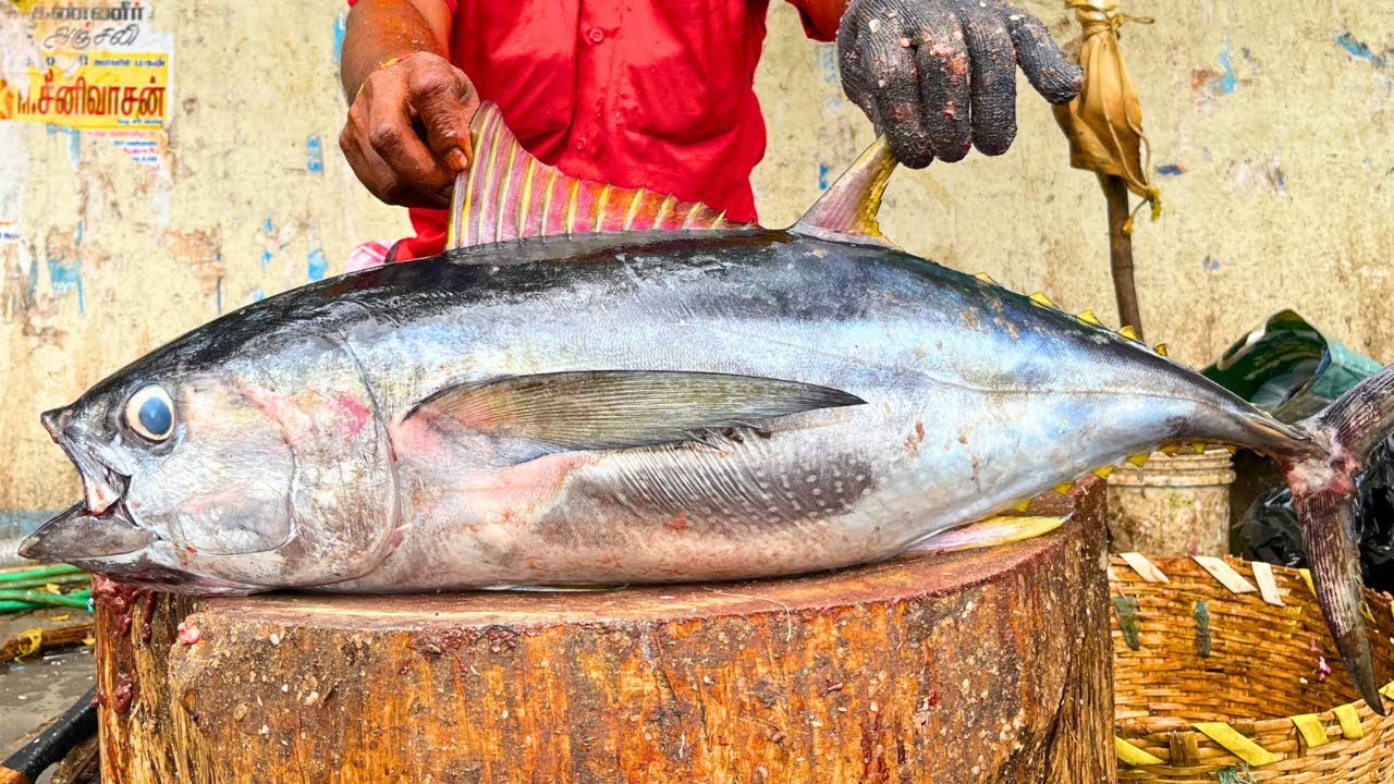 KASIMEDU VADIVELU BIG YELLOW FIN TUNA FISH CUTTING VIDEO | CUTTING SPOT ...