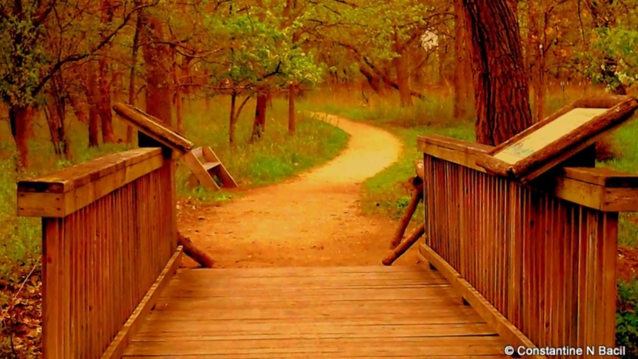 North Park Village Nature Center - Spring in Chicago - YouTube