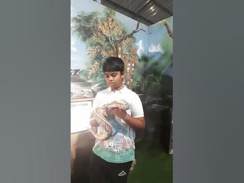 Holding python in waynard - YouTube