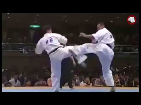 Kyokushin karate  knockouts
