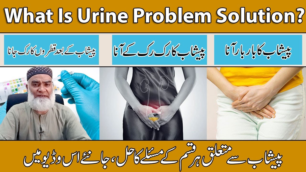 What Is Urine Problem Solution? | Urine Control & Urine Passing Problem ...