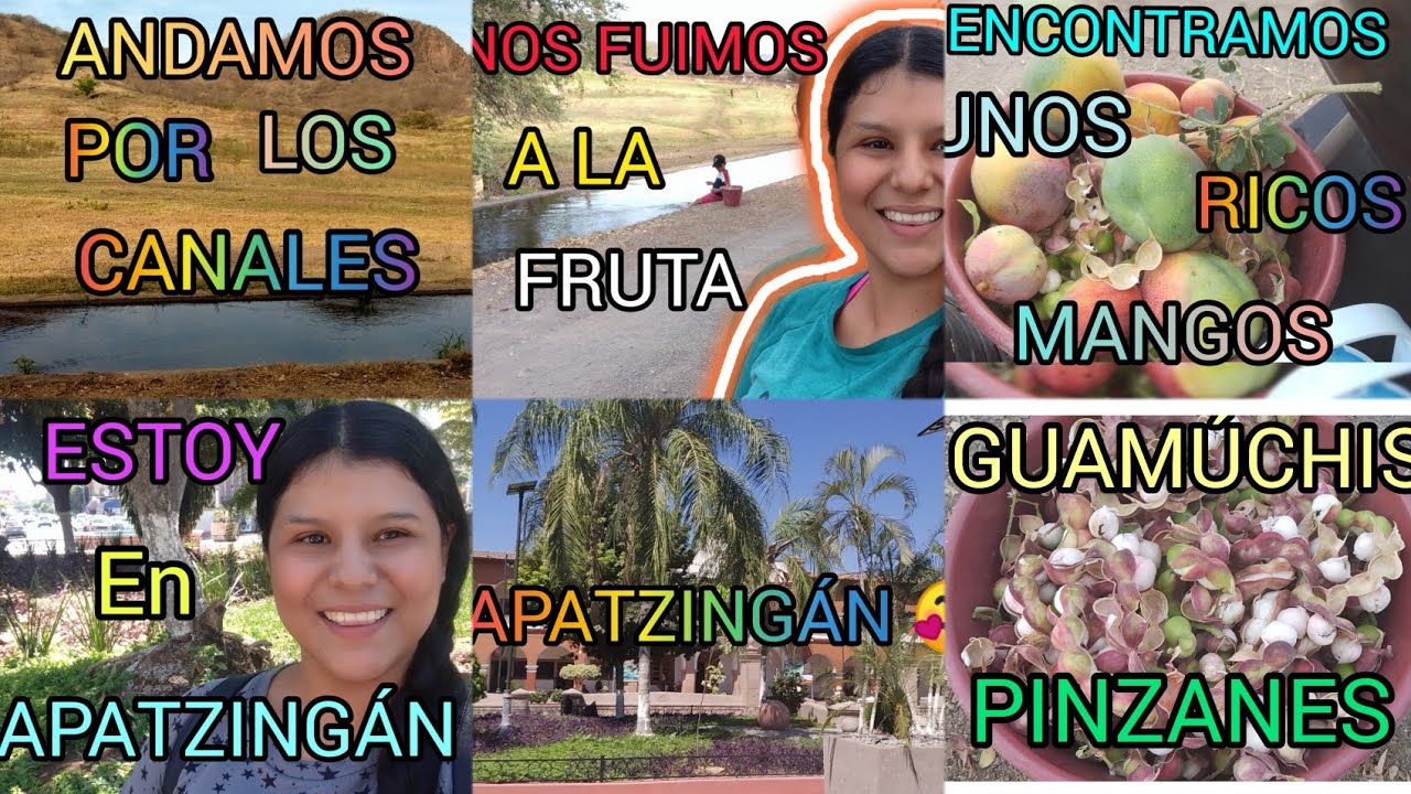 NOS FUIMOS A LOS PINZANES , O GUAMÚCHIS, APATZINGAN ,APROVECHO HACER ...