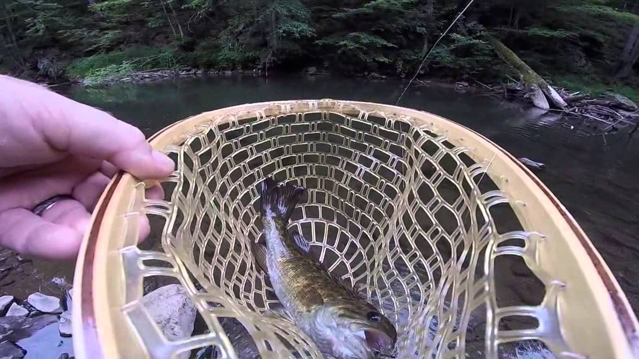 Fly Fishing With A Friend - YouTube