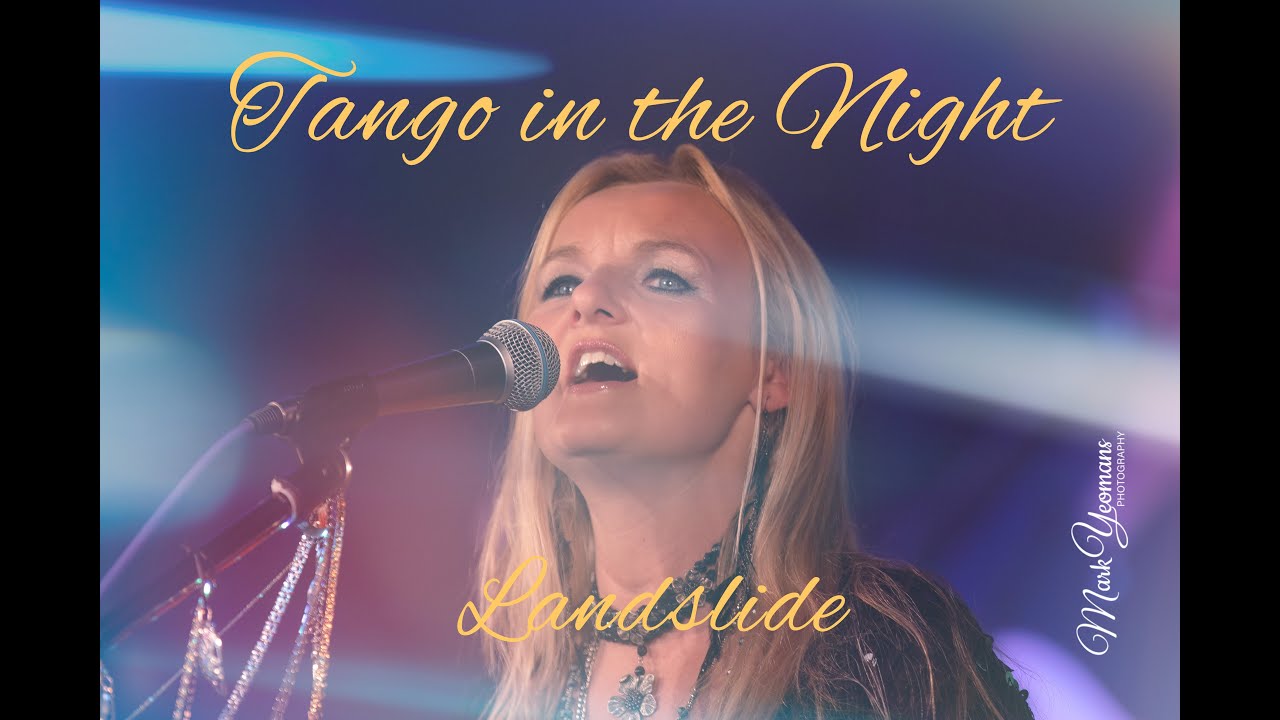 Fleetwood Mac tribute band Tango in the night Landslide - YouTube Music