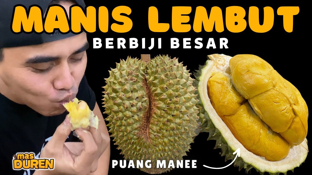 HANYA MANIS ⁉️ REVIEW DURIAN PUANG MANEE DARI THAILAND #durian # ...
