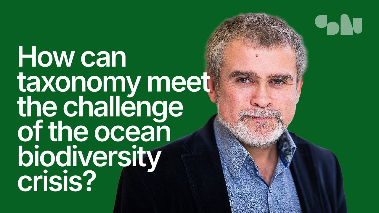 How can Taxonomy meet the challenge of the ocean biodiversity crisis? Vortrag von Alex Rogers ...