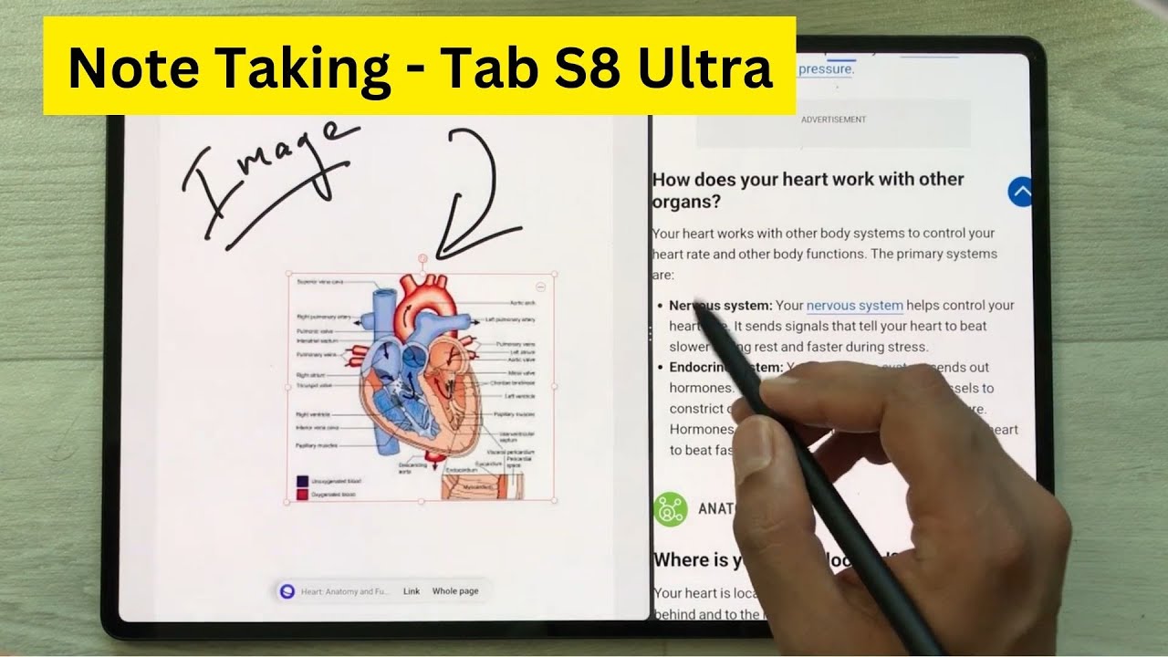 Top 5 Best Note Taking Tips & Tricks For Samsung Galaxy Tab S8 Ultra ...