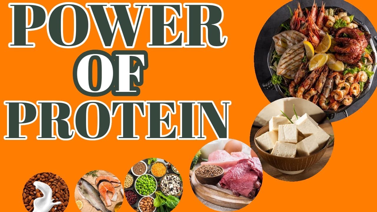 The Power of Proteins #health #fitness #power #ytshorts #wealth # ...