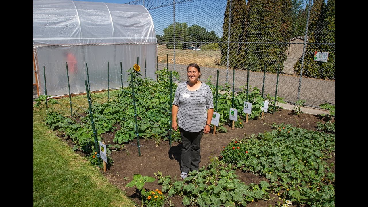 Inside the Benton-Franklin counties juvenile detention garden - YouTube