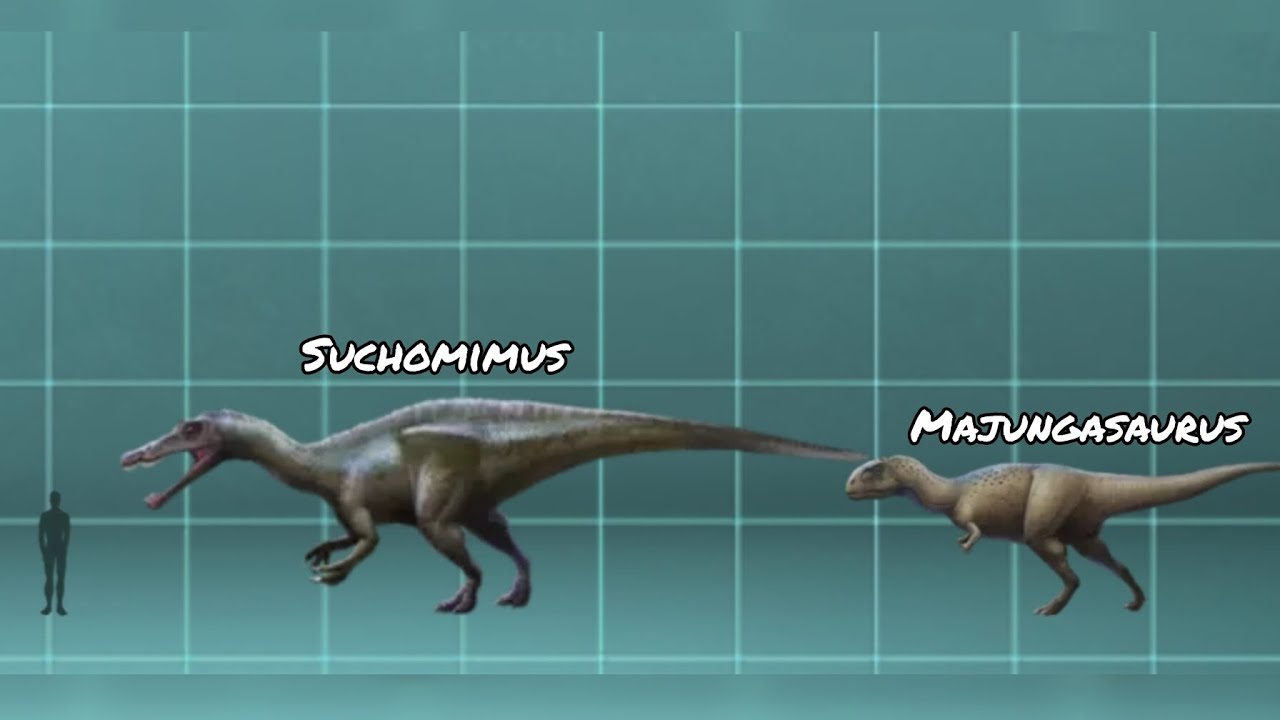accurate suchomimus vs accurate majungasaurus [Chaos Theory/Pivot Animation] - YouTube