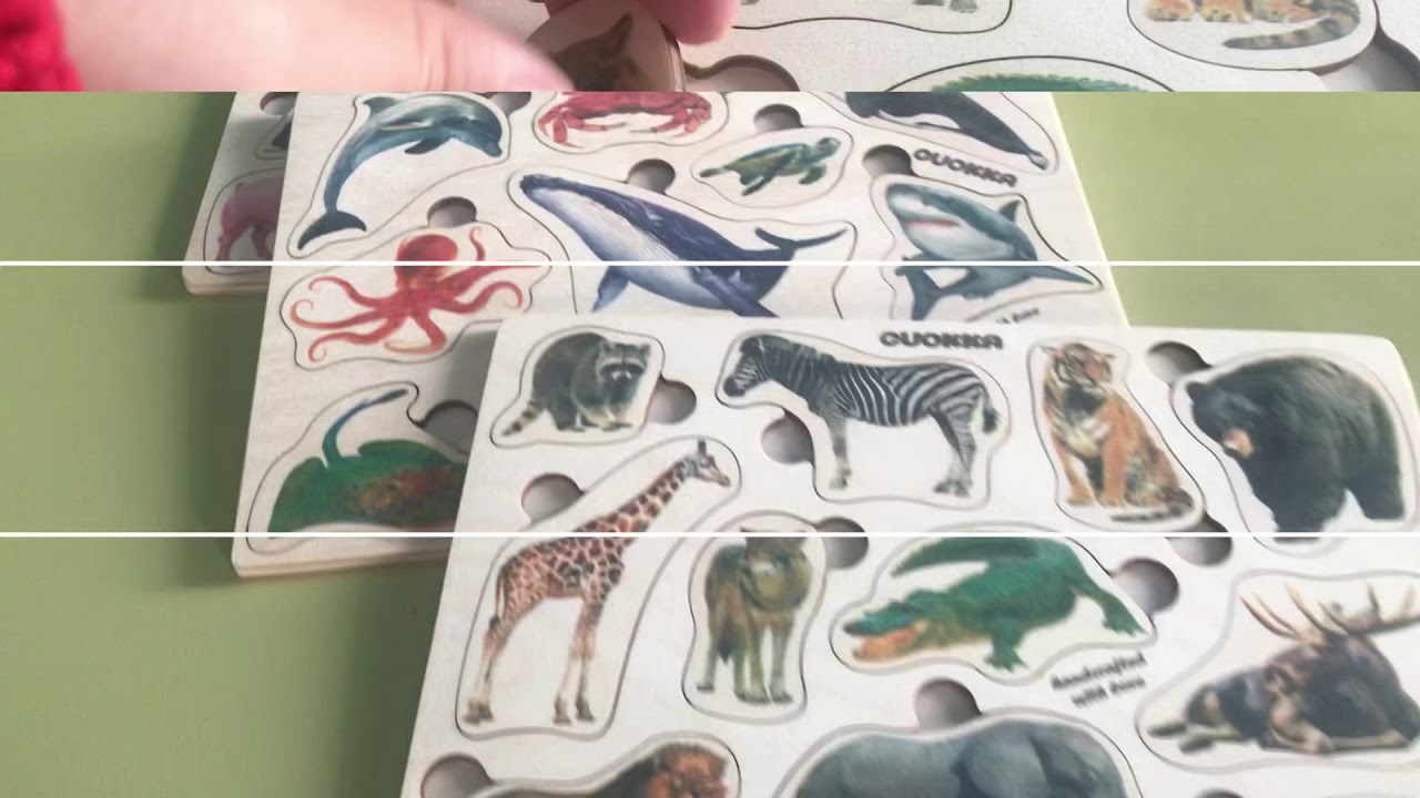 Quokka Realistic Wooden Puzzles for Kids - YouTube