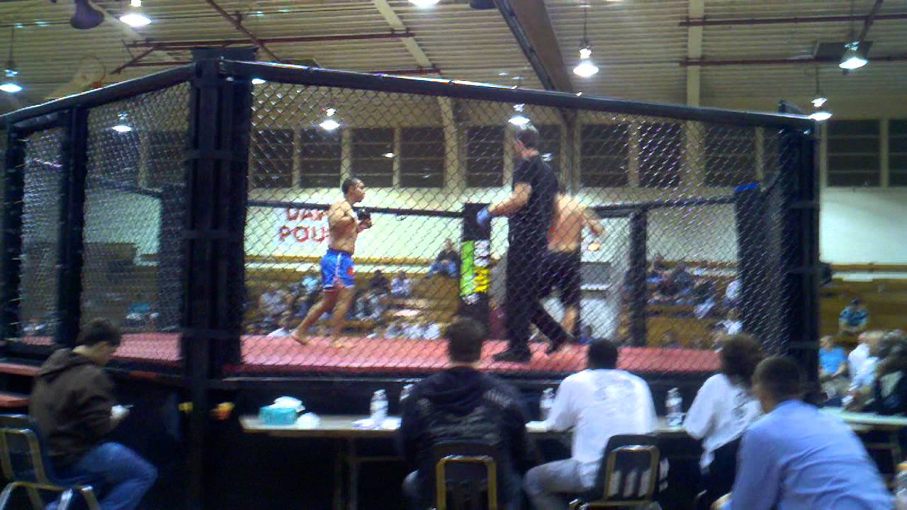 puma's first MMA fight - YouTube