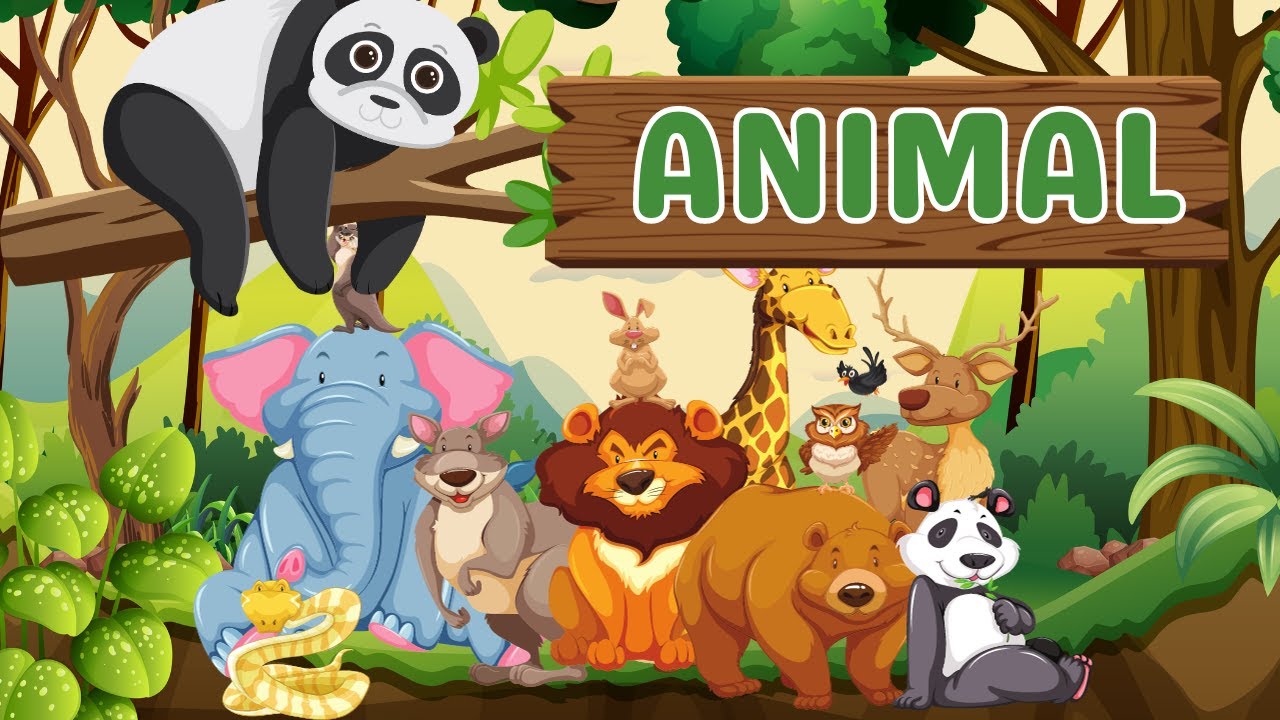 Learn Animals for Kids - Animal Learning for Children - Animal videos ...