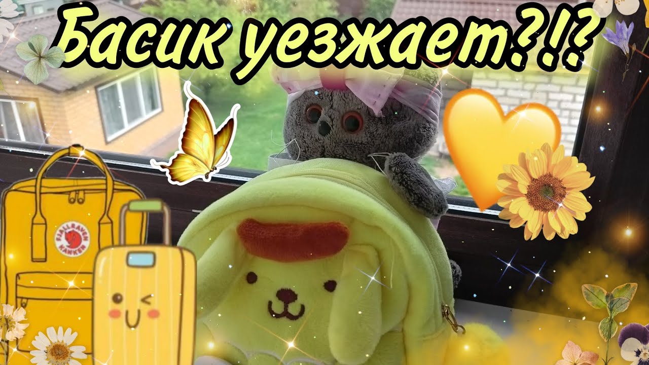 Собираю Басика в дорогу! Что нужно взять для Басика в путешествие ...