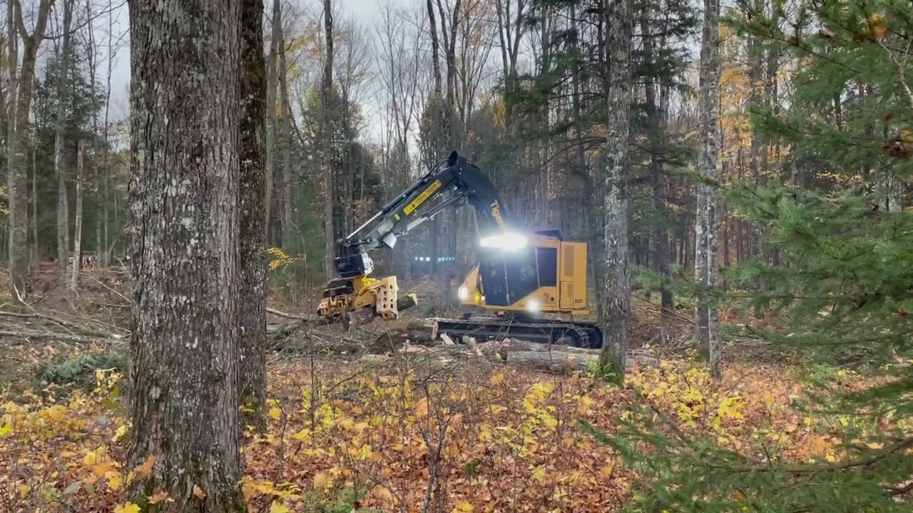 Tigercat 822D w Tigercat 570 Fixed Head - YouTube