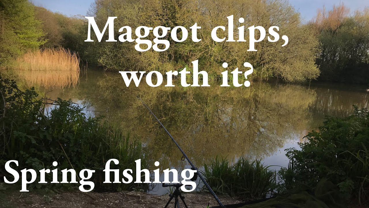 How to use maggot clips carp fishing - YouTube