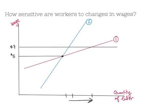 Elasticity of labor supply and applications - YouTube
