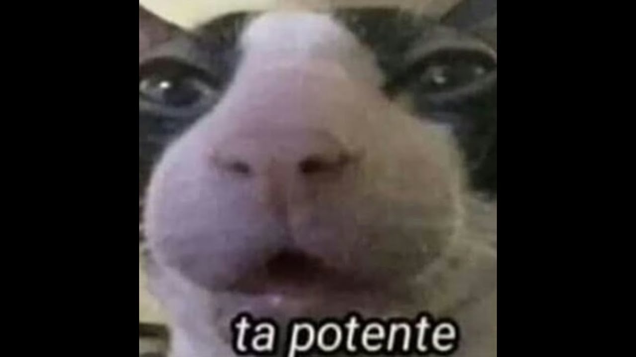 TA POTENTE - YouTube