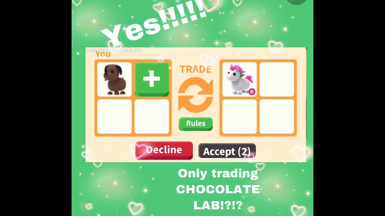Only trading chocolate lab in Adopt Me! - YouTube