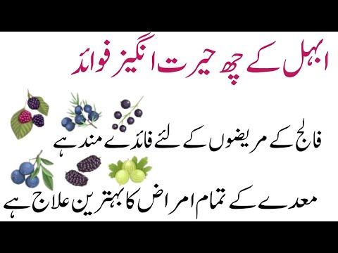 Abhal K Fayde In Urdu Hindi | 6 Amazing Benefits Of Juniper Berries ...