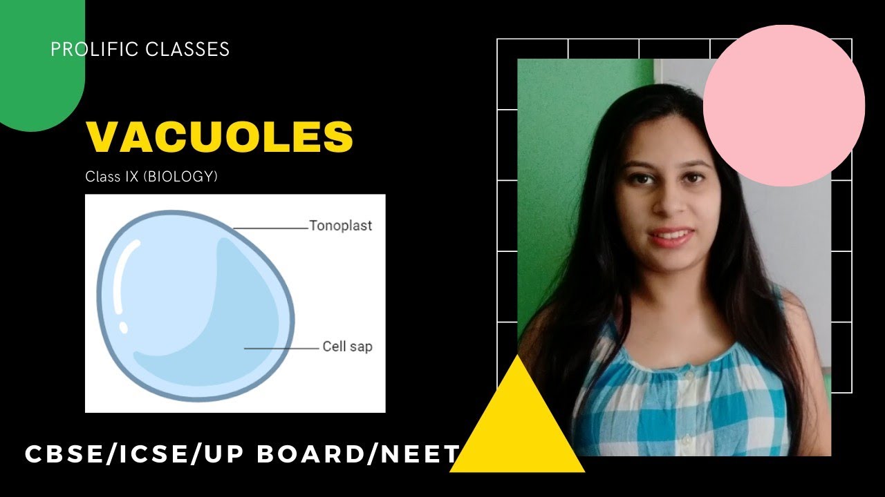 vacuoles-class-9-prolific-classes-youtube