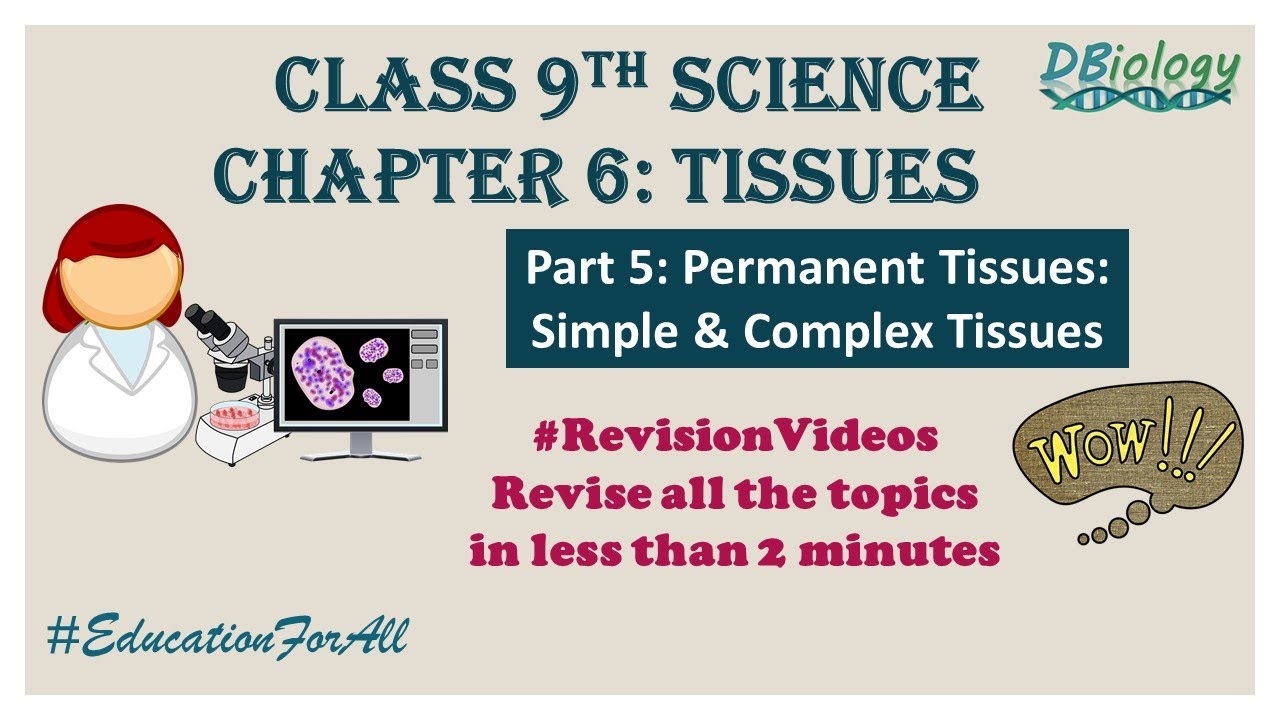 Class 9th Science: Chapter 6: Tissue Part 5 (Permanent Tissues) - YouTube