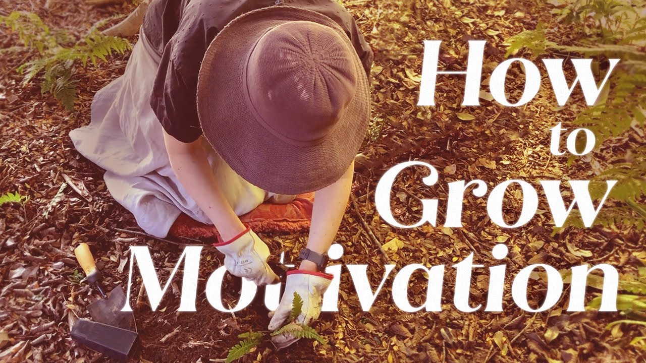 How to Grow Motivation - Books, Plants and Puzzles - YouTube