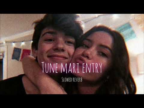 Tune Mari Entry (Slowed and Reverb) Hip-Hop || Romentic Song || Satu Music 