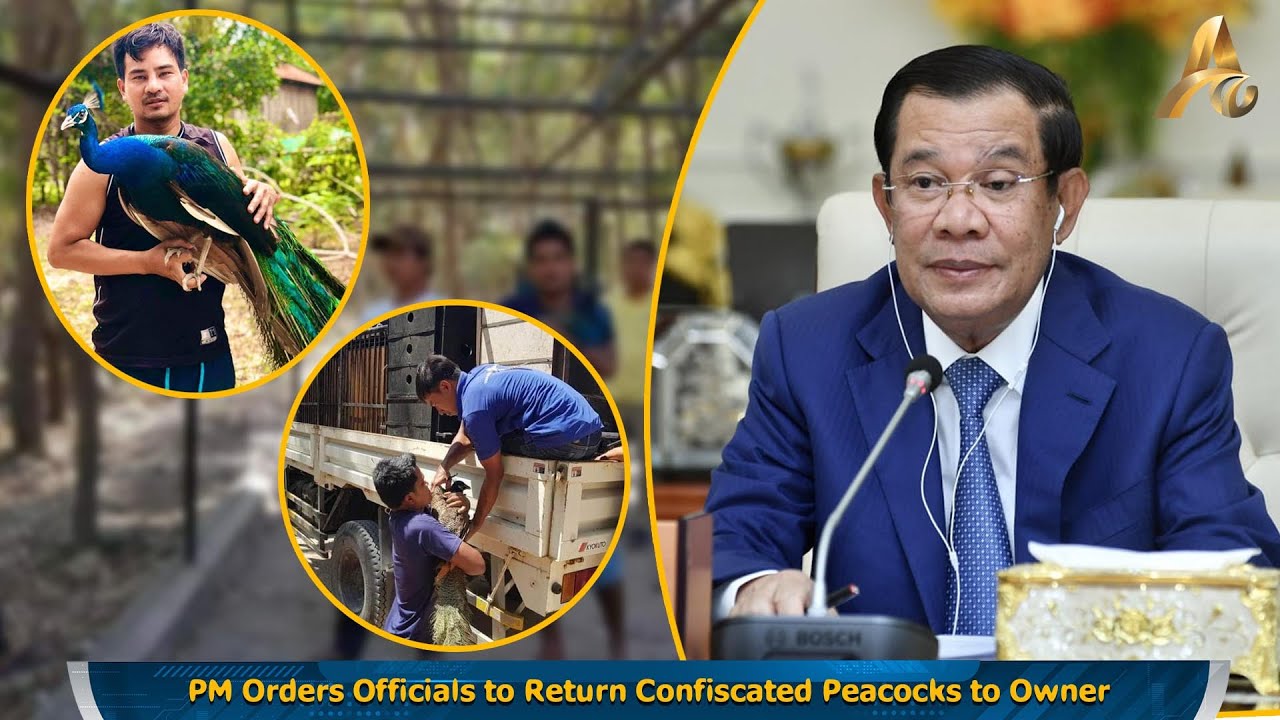 PM Orders Officials to Return Confiscated Peacocks to Owner - YouTube