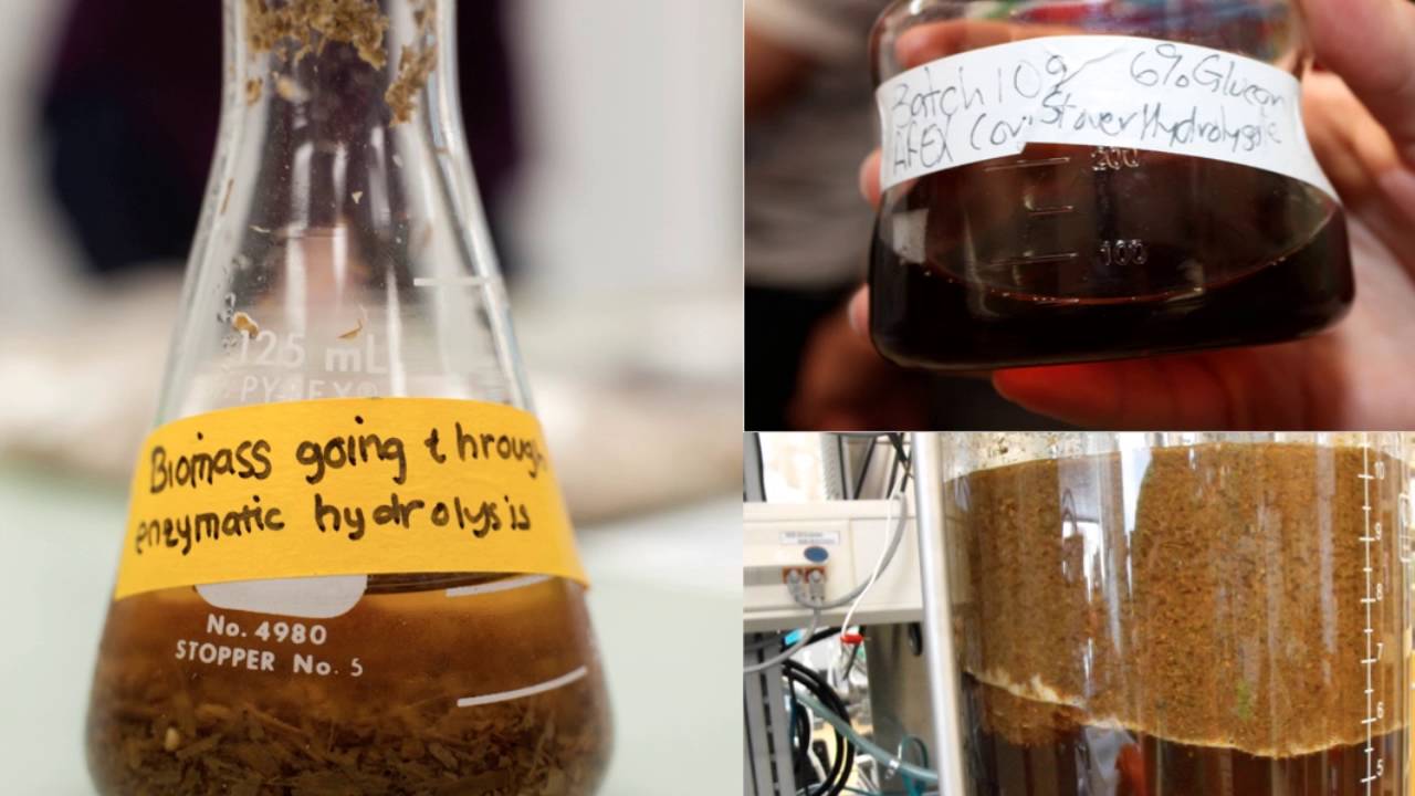 Bioprocess Academy - Academics - Lesson 4 of 4: Improving Batch and ...