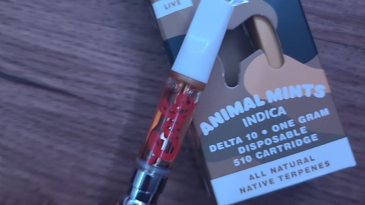 Cake delta 10 Animal Mints Indica - Review - YouTube