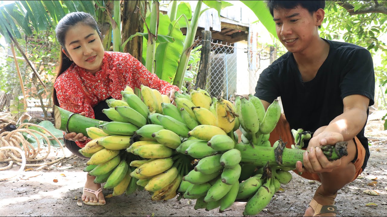 Ripe banana from banana tree around home is good for my recipes / Ripe ...