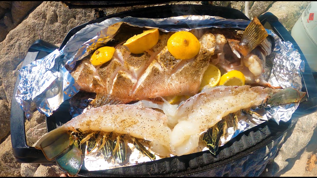 Crayfish & Coral Trout BBQ Cook Up On Tropical Islands (Townsville ...