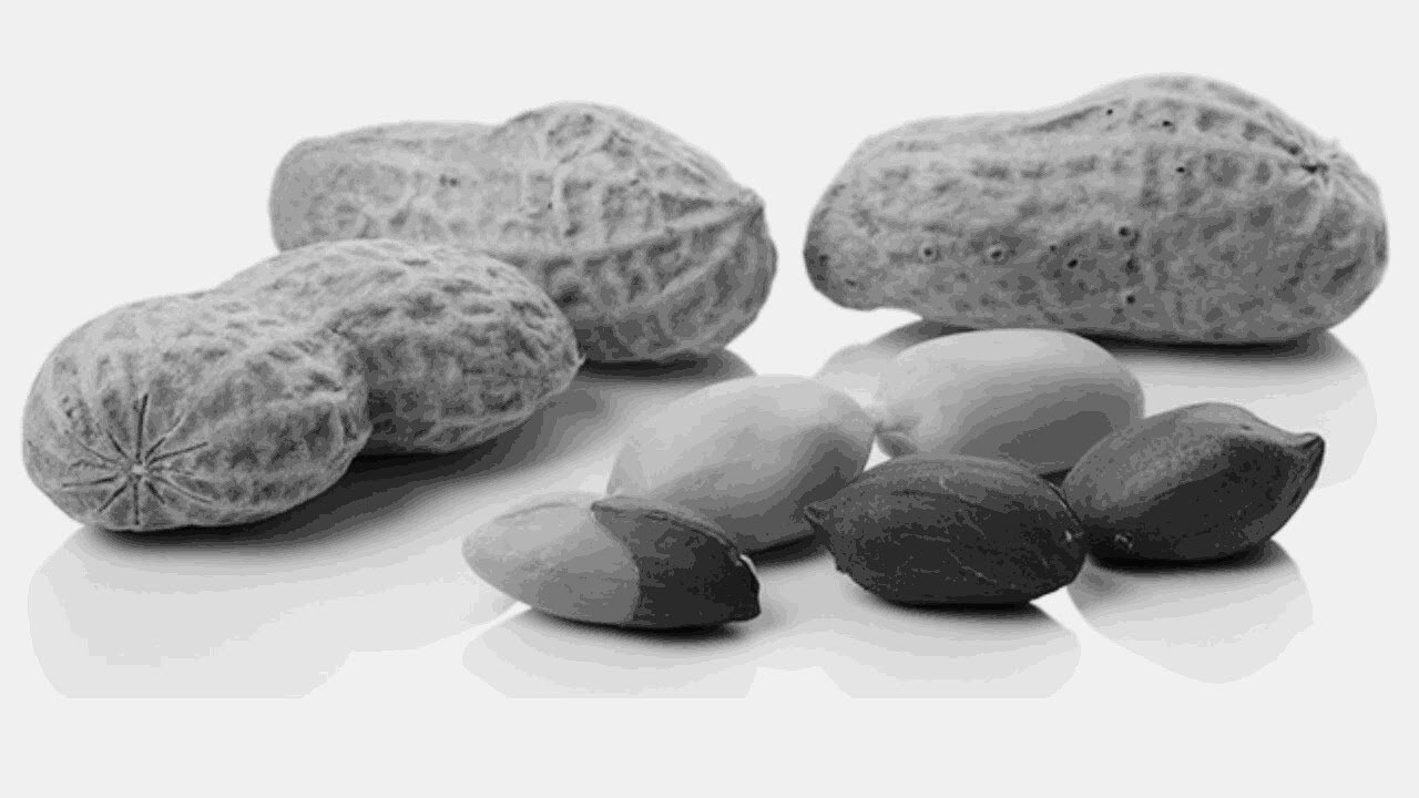 how to draw a almond - YouTube