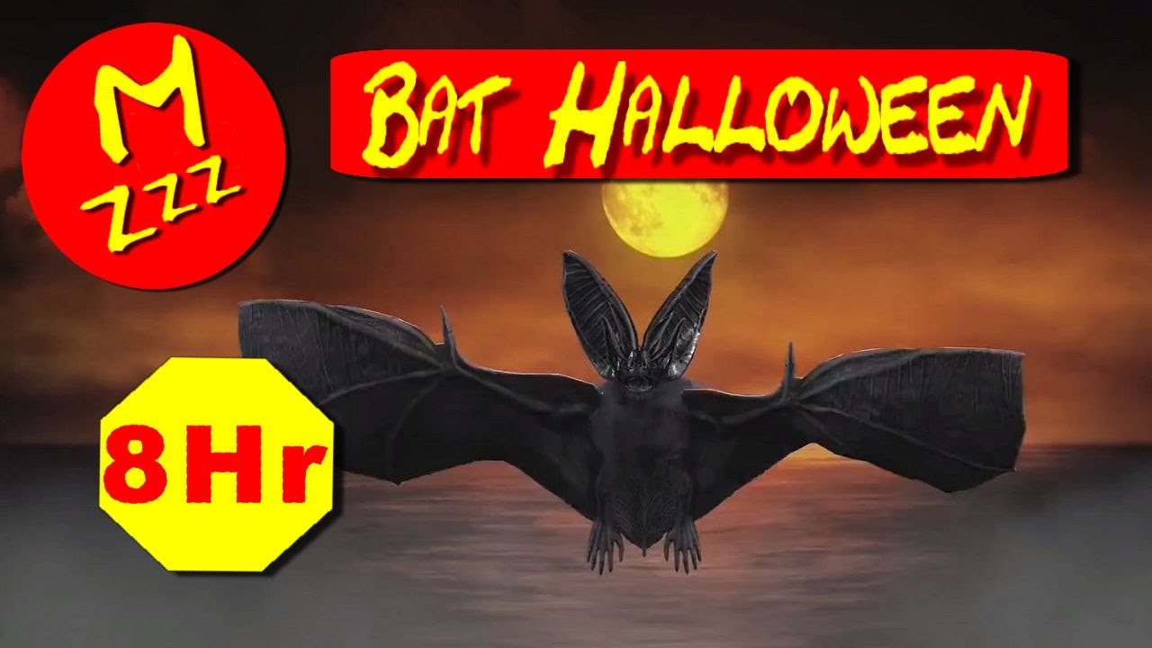 Halloween Bat 8 Hour Video - Pipistrelle Bat Sound Effects - Help You ...