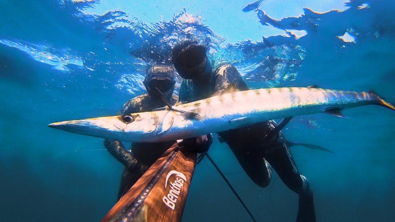 ΨΑΡΟΝΤΟΥΦΕΚΟ ΜΕ ΒΑΘΥ ΚΑΡΤΕΡΙ. ΛΟΥΤΣΟΣ 2400. Spearfishing deep ambush ...