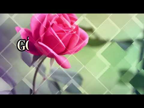 İBRAHİM HATİPOĞLU İLE GÖNLÜMÜN GÜLÜ CANLI YAYIN İLKE TV