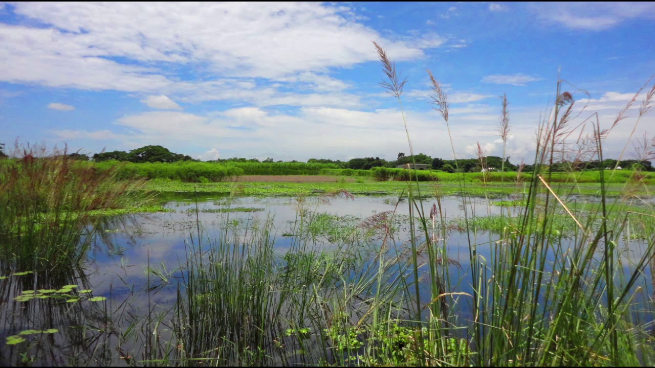বলাকা, রবীন্দ্রনাথ ঠাকুর Balaka, Bolaka, Rabindranath Tagore - YouTube