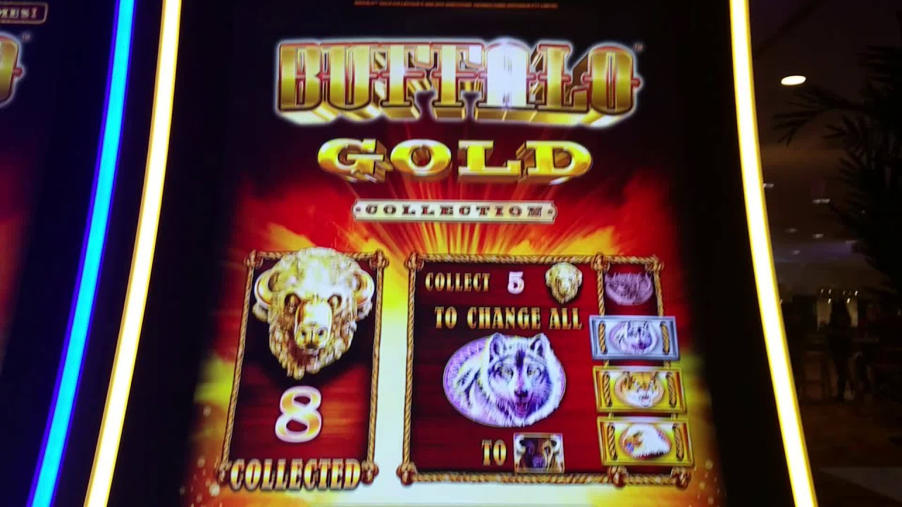 BIG win at Golden Buffalo - YouTube