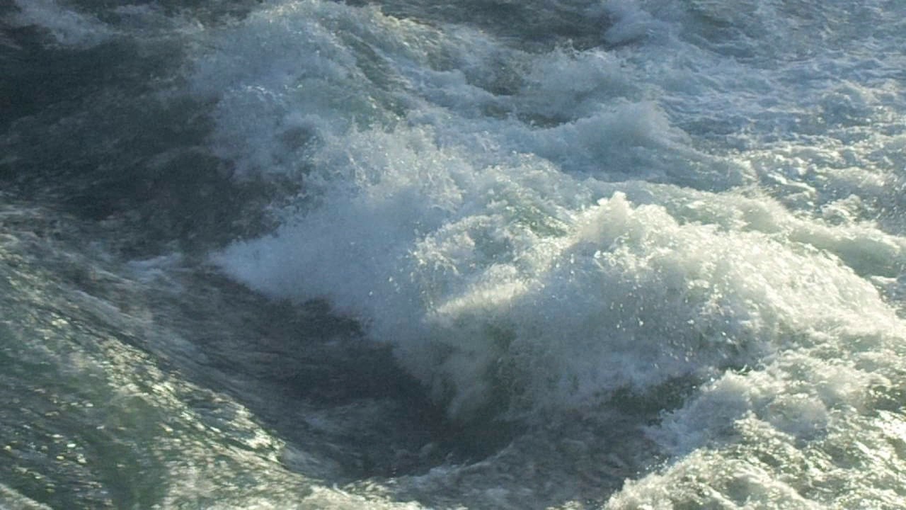 Little Silver Dragon Wave - YouTube